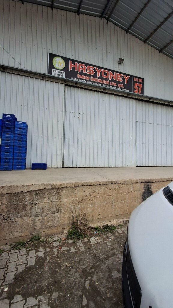 Toptan sebze ve meyve satışı Hasyoney Tarım Ürünleri, Fethiye, foto