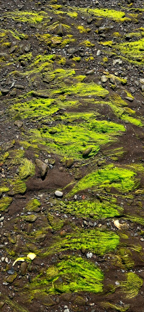 Dağ zirvesi Мыс Опасности, Habarovski krayı, foto