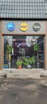 X-motors (Arshakunyats Avenue No:57/2), otomobil servisi  Erivan'dan