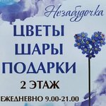 Незабудочка (Plescheevskaya Street No:50А), çiçekçiler  Podolsk'tan