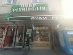 Ovam Peynircilik (Demirkapı, 97-99C, Bağcılar Asf Cd, 34200 Bağcılar/İstanbul), peynirci  İstanbul'dan