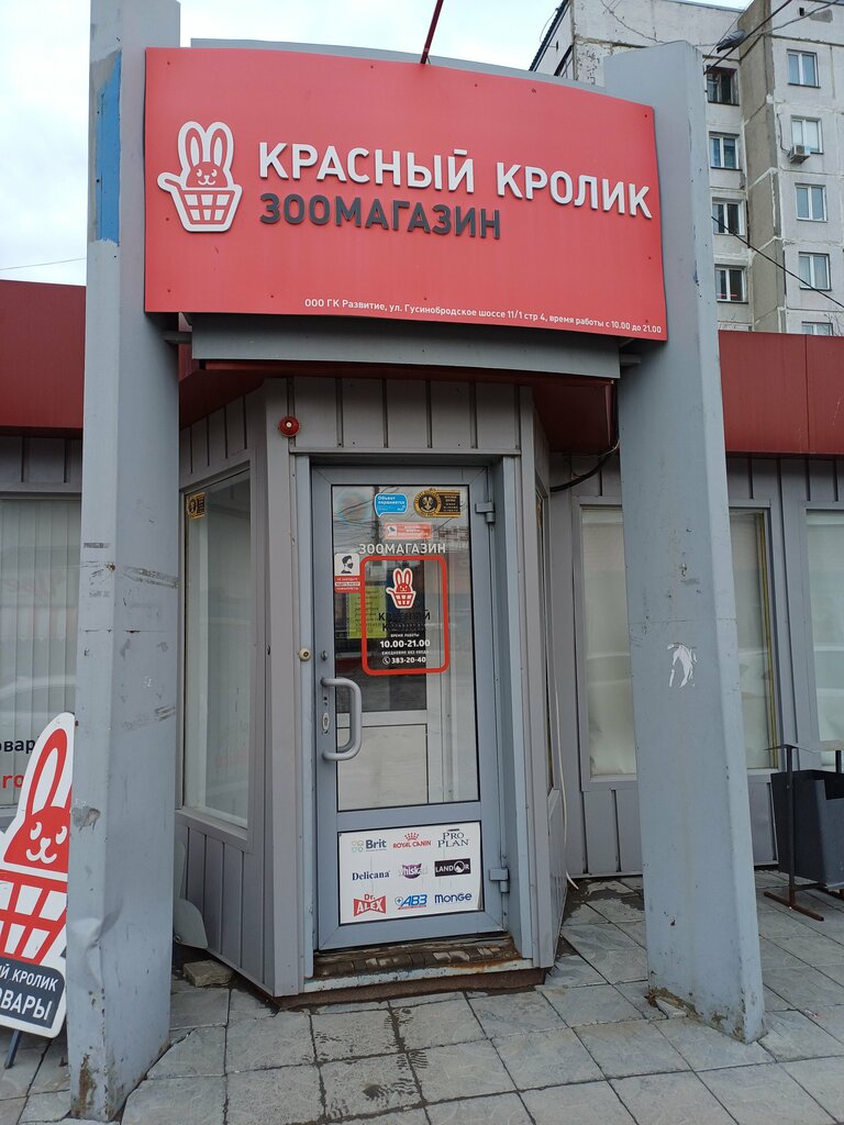 Petshop Красный кролик, Novosibirsk, foto