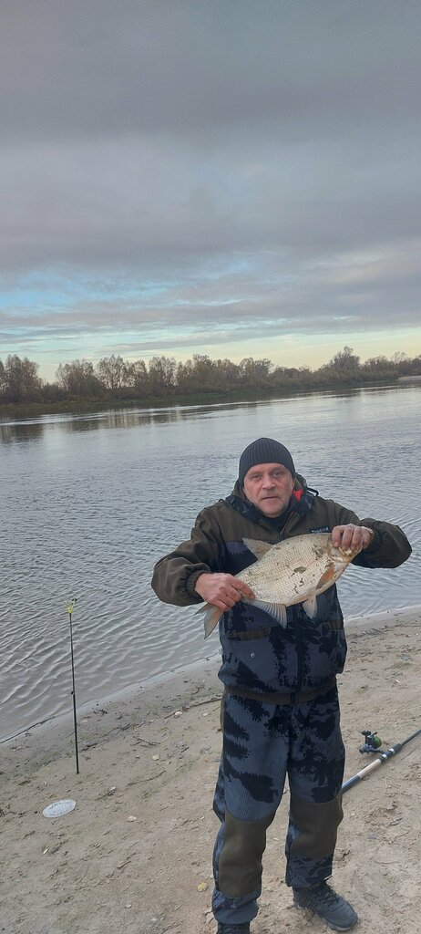 i̇skele Добрыня, Riazanskaya oblastı, foto