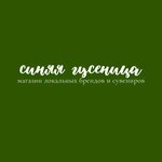 Синяя гусеница (ulitsa Generala Sommera No:18), hediyelik eşya mağazaları  Kaliningrad'dan