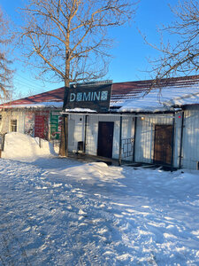 Bar Домино, Olyokminsk, foto