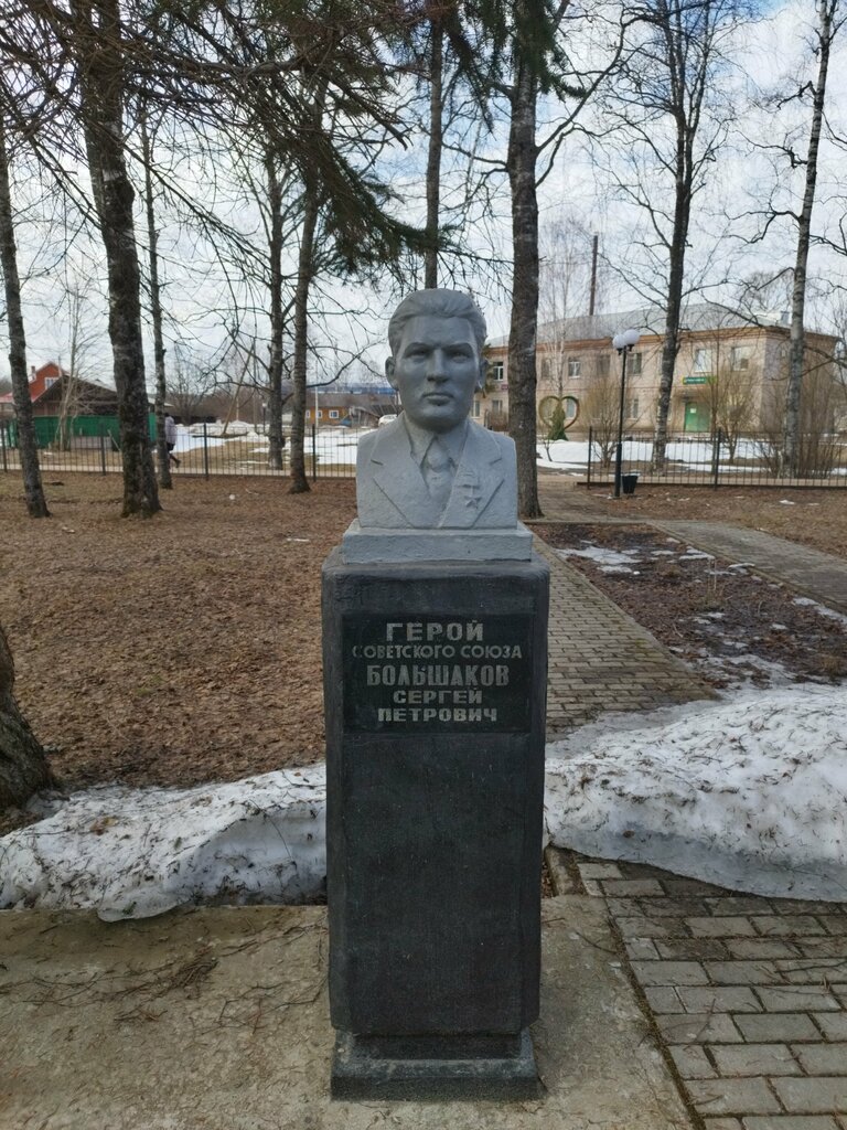 Anıt, heykel Бюст Героя Советского Союза Сергея Петровича Большакова, Vologodskaya oblastı, foto