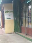 Hercules Sport (Santa Cruz de la Sierra, Distrito Municipal 11, Calle Florida), spor mağazaları  Bolivya'dan