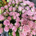 Jasmin (No:24/1, 5-shi shaǵyn aýdan), çiçekçiler  Aksay'dan
