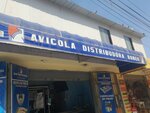 Avícola Distribuidor Rober (Distrital San Martin de Porres, Calle Manuel Clavero, 2094), kanatlı hayvan ürünleri ve yumurta  Lima'dan