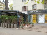Teremok (Aleksandre Kazbegis gamziri No:9), restoran  Tiflis'ten