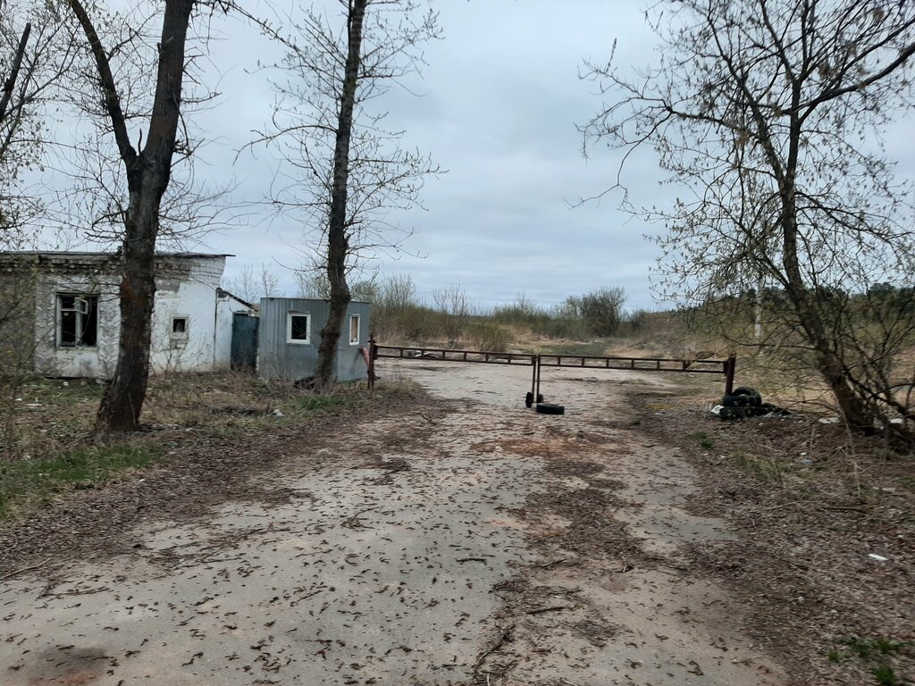 Çöp alanları Trash and garbage disposal area, Kostromskaya oblastı, foto