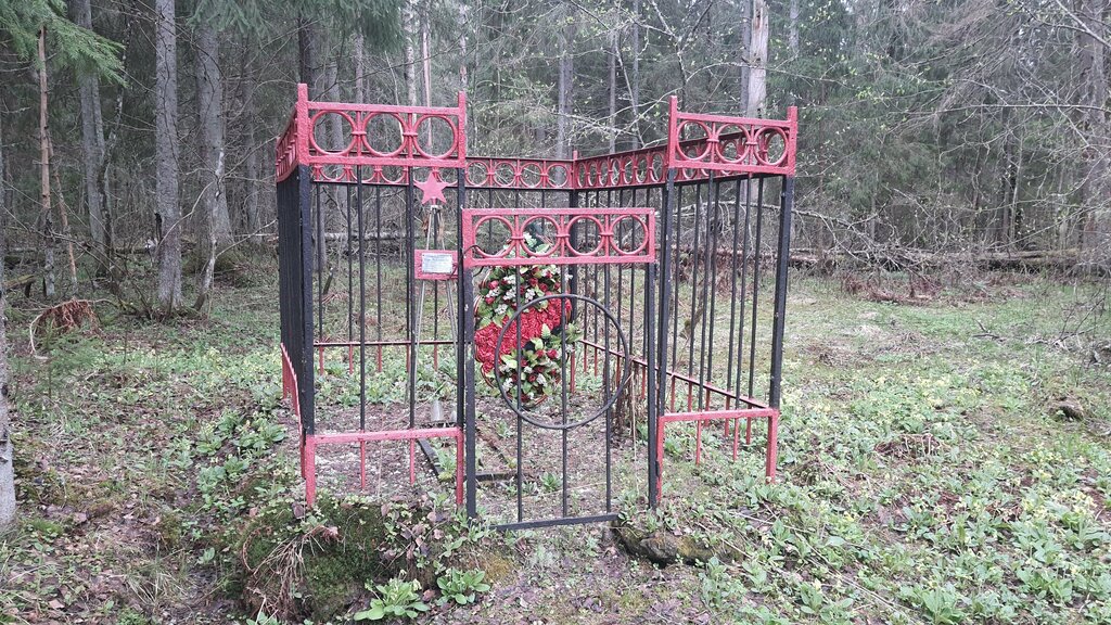 Anıt, heykel Могила неизвестного солдата, Saint‑Petersburg ve Leningradskaya oblastı, foto