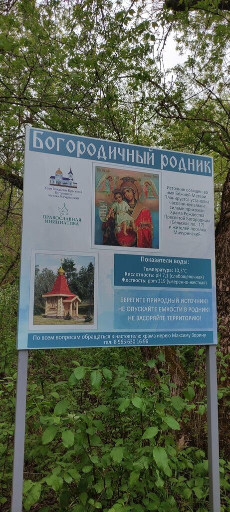 Pınar, çay Богородичный родник, Penzenskaya oblastı, foto