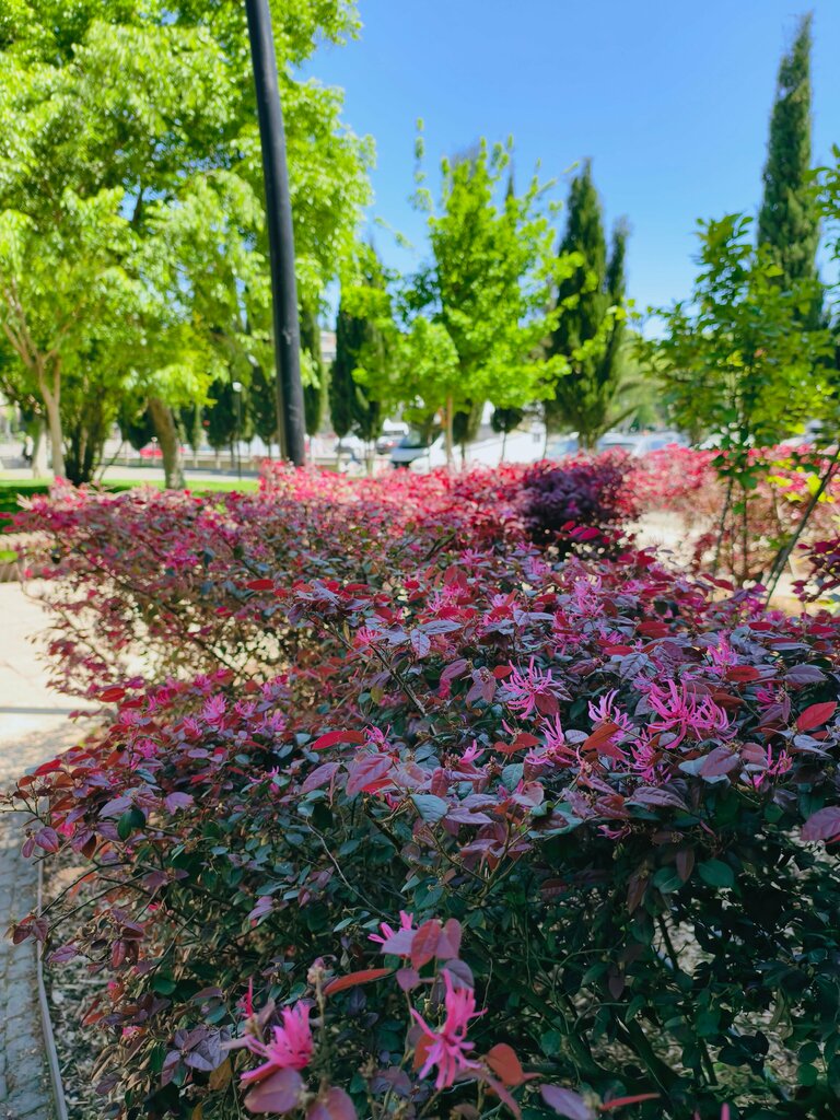 Kültür ve eğlence parkları Arto's Garden, Tiflis, foto