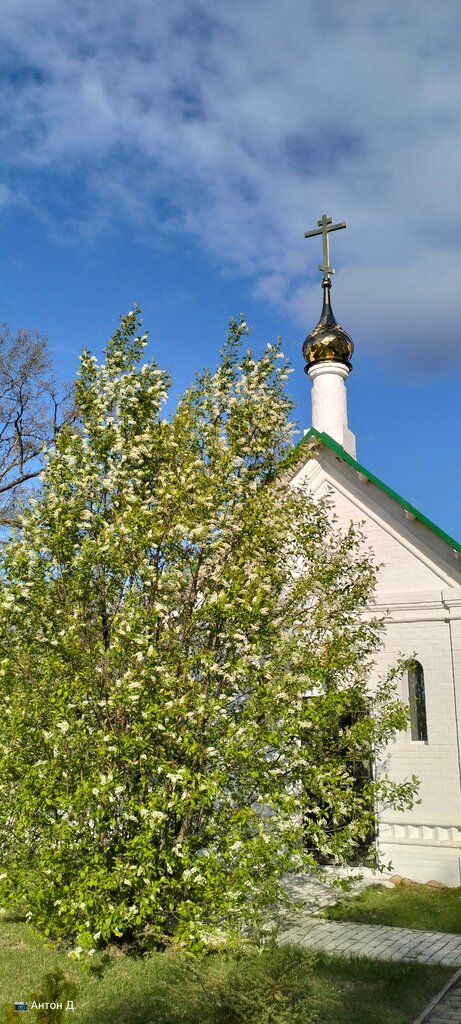 Ortodoks kiliseleri Часовня на месте захоронения князя Голицына Бориса Алексеевича, Nijegorodskaya oblastı, foto