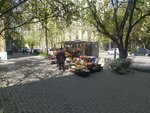 Meyvə Tərəvəz (Huseyn Cavid Avenue No:231A), manavlar  Bakü'den