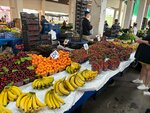 Kemer Pazar Yeri (Antalya, Kemer, Yeni Mah., 489. Sok., 3), pazarlar ve çarşılar  Kemer'den