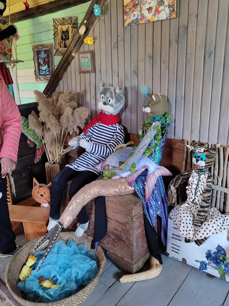 Müzeler ve sanat galerileri Музей кота Брасика, Vitebskaya oblastı, foto