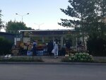 Greengrocery (No:9В, Lesnaıa Polána shaǵyn aýdany, Qosshy), manavlar  Akmola eyaletinden