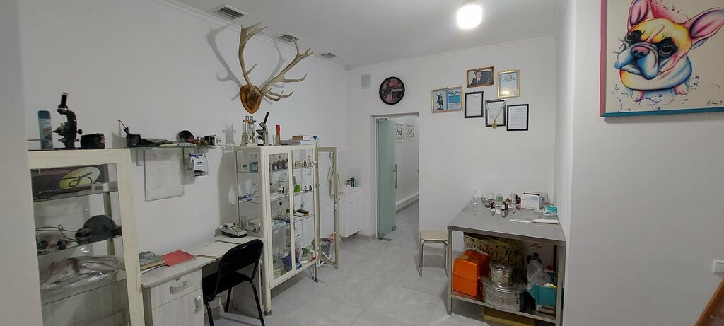 Veteriner klinikleri Doctor Sadikov server, Taşkent eyaleti, foto