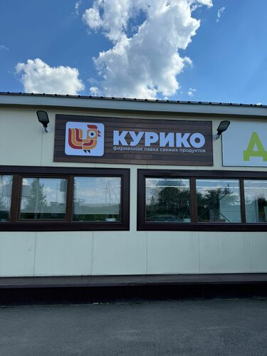 Kanatlı hayvan ürünleri ve yumurta Kuriko, Sverdlovskaya oblastı, foto