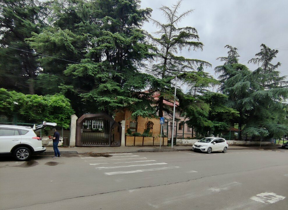 Gebe okulu Waldorf School, Tiflis, foto