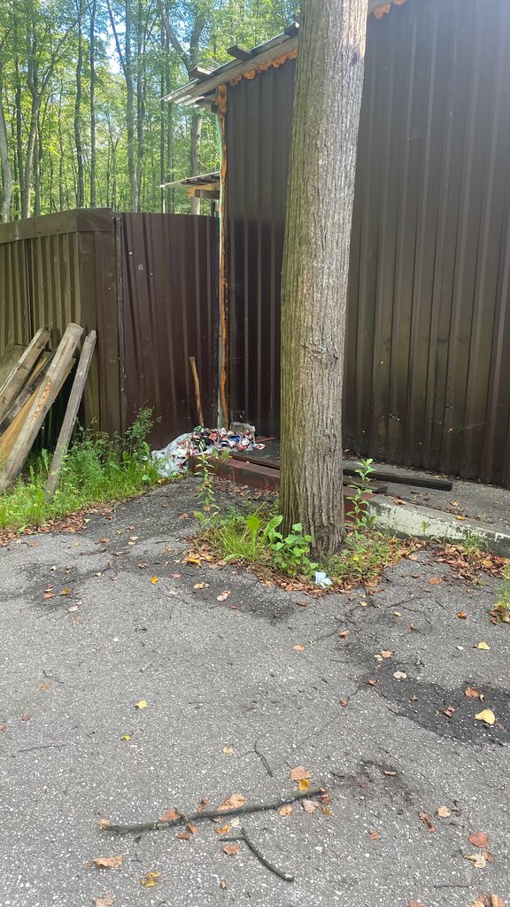 Kafe Amigo, Nijni Novgorod, foto