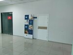Global Finance (Gorkogo Street No:17/19, Tsentralniy Microdistrict), muhasebeciler  Soçi'den