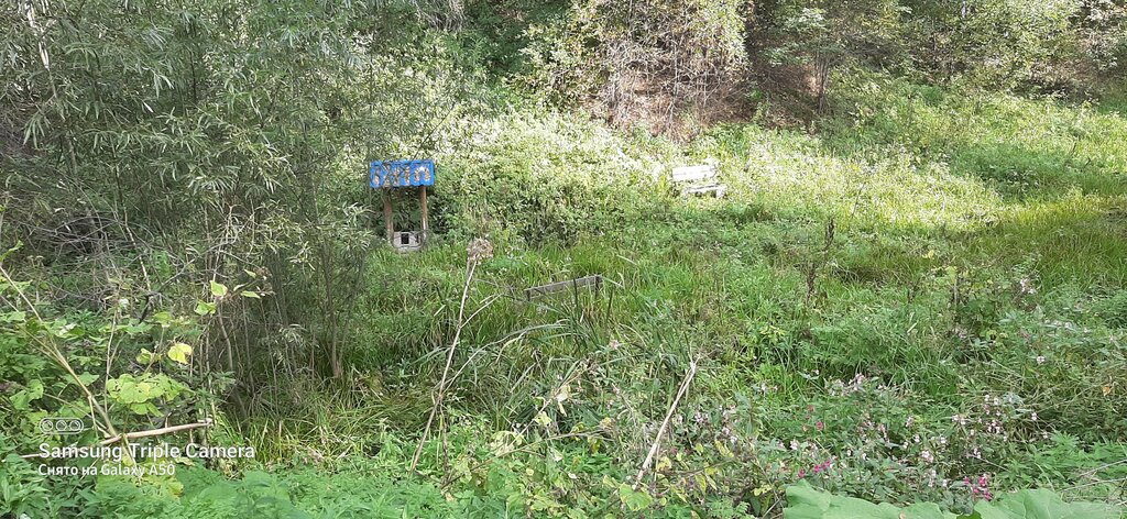 Pınar, çay Spring, stream, Novosibirskaya oblastı, foto