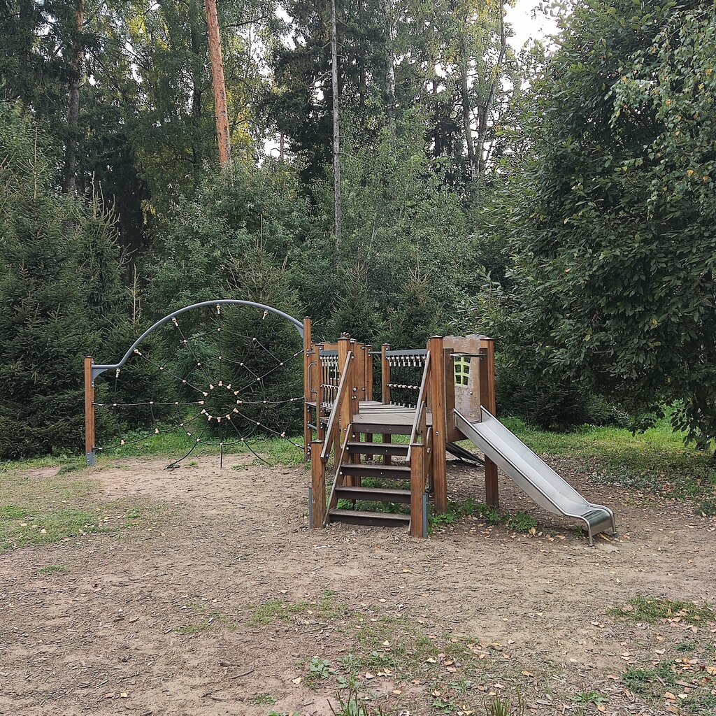 Oyun alanı Детская площадка, Moskova ve Moskovskaya oblastı, foto