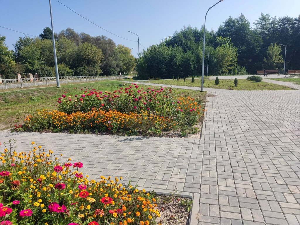 Kültür ve eğlence parkları сквер Победы, Riazanskaya oblastı, foto