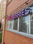 Wildberries (ulitsa 40 let Pobedy No:14, Osinovo Village), teslimat noktası  Tataristan'dan