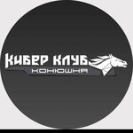 Конюшня (Norilskaya ulitsa No:9), bilgisayar kulübü  Krasnoyarsk'tan