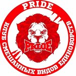 Pride (Adoratskogo Street No:12Б), spor kulüpleri  Kazan'dan