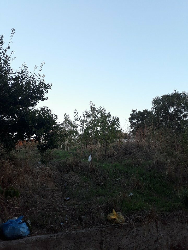 Otomobil satış galerileri Ayaz Otomotiv, İstanbul, foto