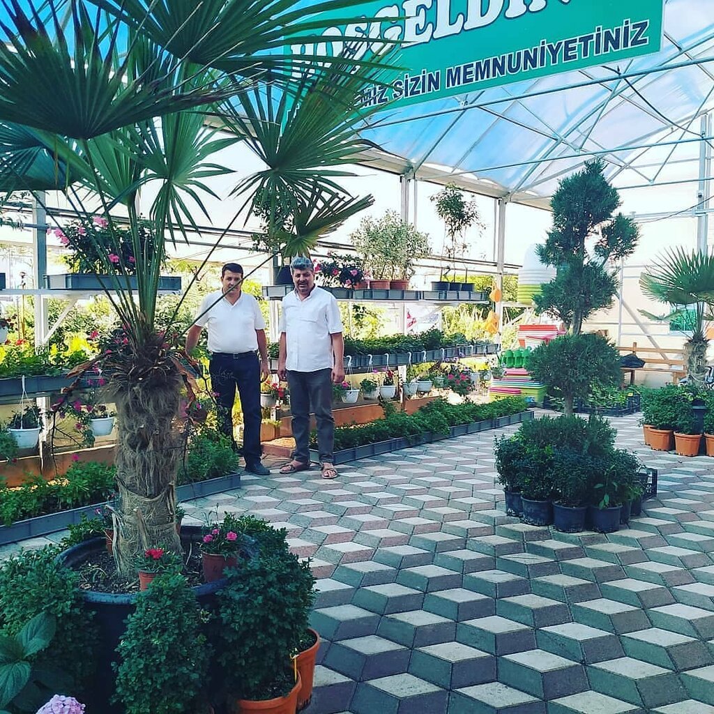 Sera ve bahçe ürünleri Aksel Bahçe ve Tarım Ürünleri Pazarlama, Ankara, foto