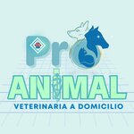Veterinary Pro Animal at Home (Santa Cruz de la Sierra, Distrito Municipal 11, Subdistrito CI, Junín, 430), veteriner klinikleri  Santa‑Krus'tan
