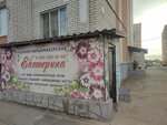 Yekaterina (Yubileynaya ulitsa No:2, derevnya Novoseltsy (Kozinskoye selskoye poseleniye)), kuaförler  Smolenskaya oblastından