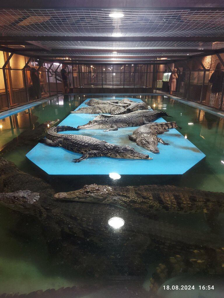 Hayvanat bahçeleri Crocodile Farm, Moskova ve Moskovskaya oblastı, foto