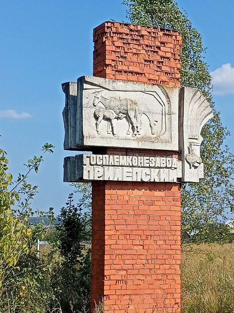 Giriş işareti Госплемконезавод Прилепский, Tula, foto