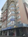 Net Danışmanlık (Keykubat Blv., No:70, Alanya, Antalya), danışmanlık hizmetleri  Alanya'dan
