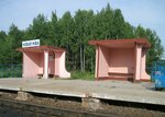 Novaja Niva Station (Magiliowski rajon, Siemukacki sielsaviet), tren istasyonu  Mogiliovskaya oblastından