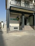 Croco (Rudaki Street No:107), restoran  Semerkant'tan