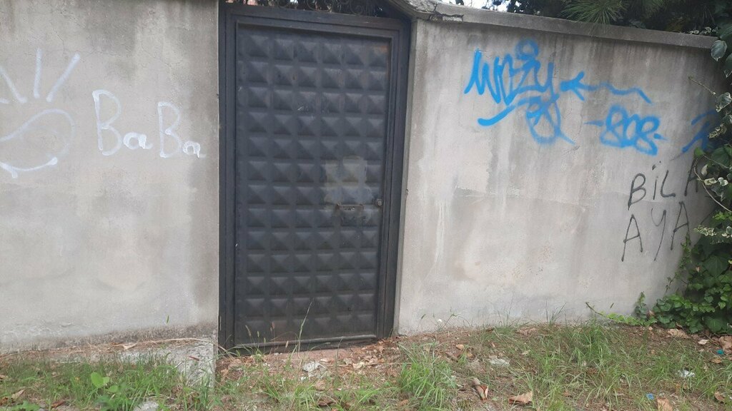 Gümrük hizmetleri Msn Yıldırım, İstanbul, foto