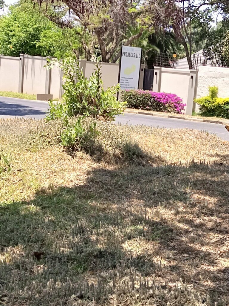 Sivil toplum kuruluşları Unc Global Project, Lusaka, foto
