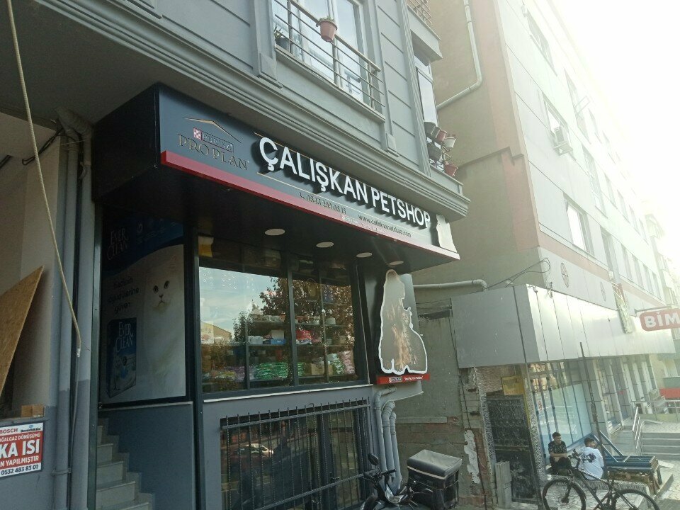 Petshop Çalışkan Petshop, İstanbul, foto