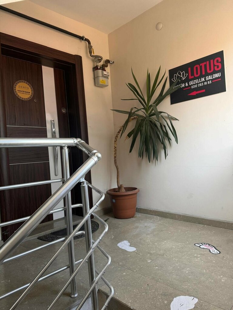 Güzellik salonu Lotus Güzellik salonu, Ankara, foto