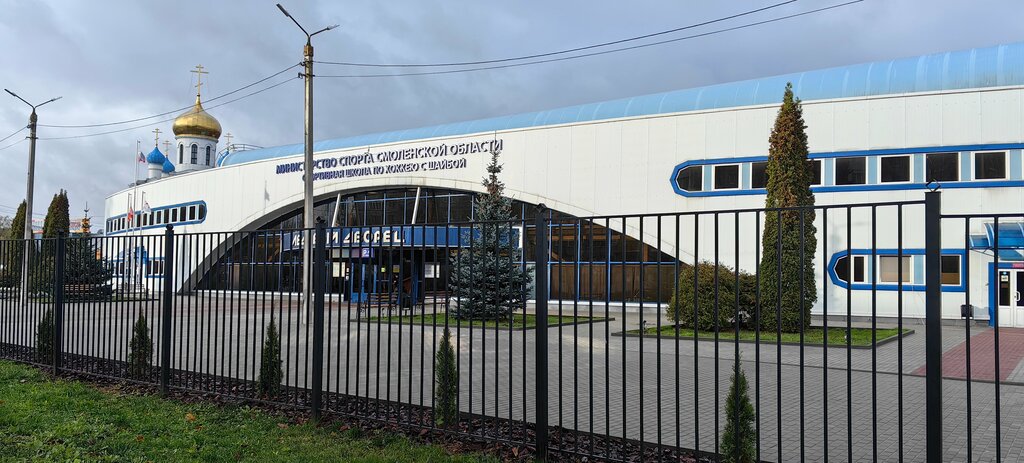 Çok amaçlı spor tesisleri Ледовый дворец, Smolensk, foto