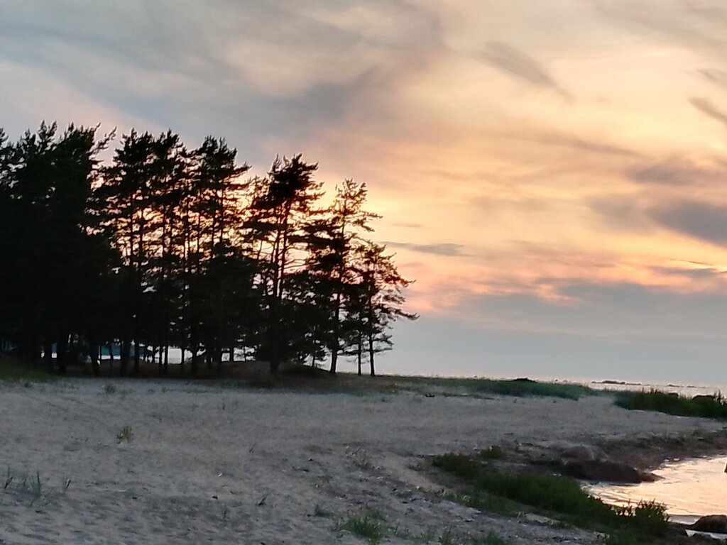 Plaj Пляж, Saint‑Petersburg ve Leningradskaya oblastı, foto