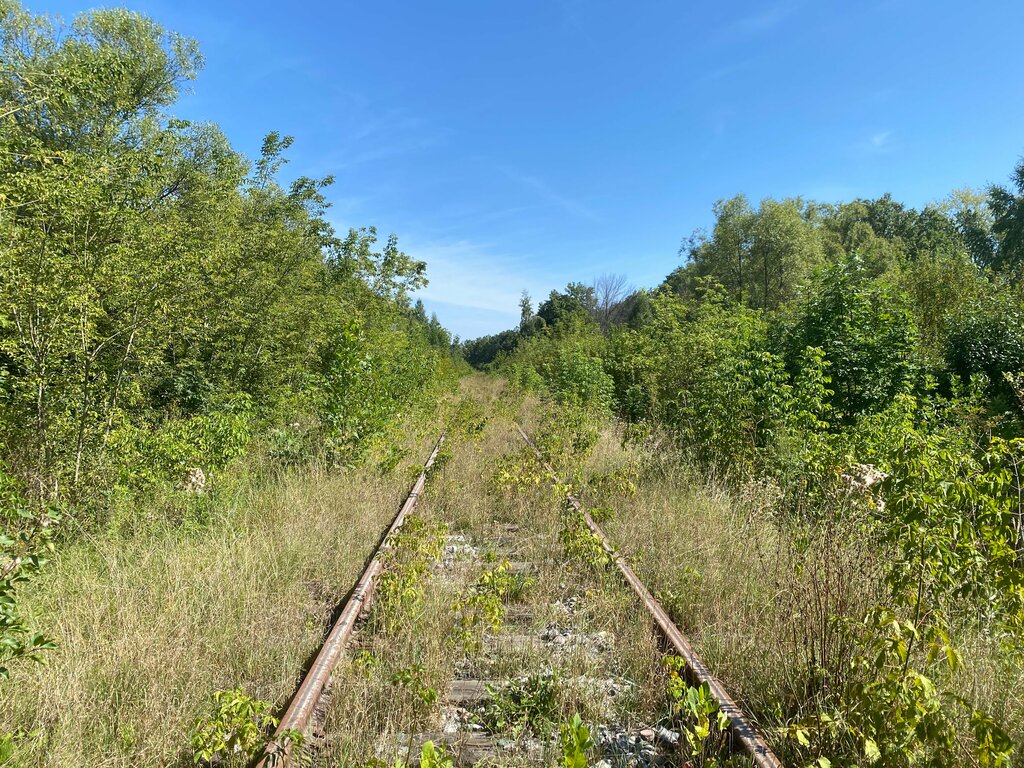 Yük istasyonu остановочный пункт 36 километр, Tambovskaya oblastı, foto